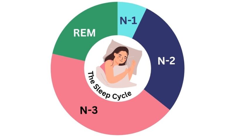 Sleep Smarter: Know Your Sleep Cycle (REM and Non-REM). – Simply ...
